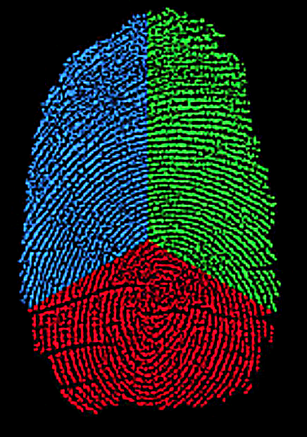 Structogram: Einfach praktisch anwendbares Persönlichkeitsmodell ...